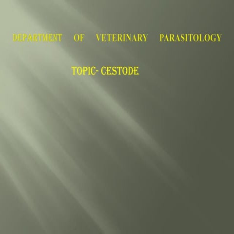 Nikita Saroj M.sc. zoology 1st Sem parasites of cestodes..pdf