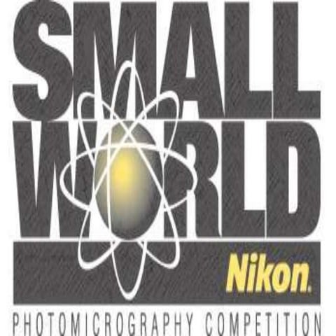 Nikon Small World 2012 | PPTX
