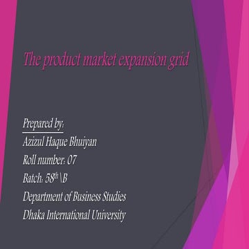 The product market expansion grid | PPTX