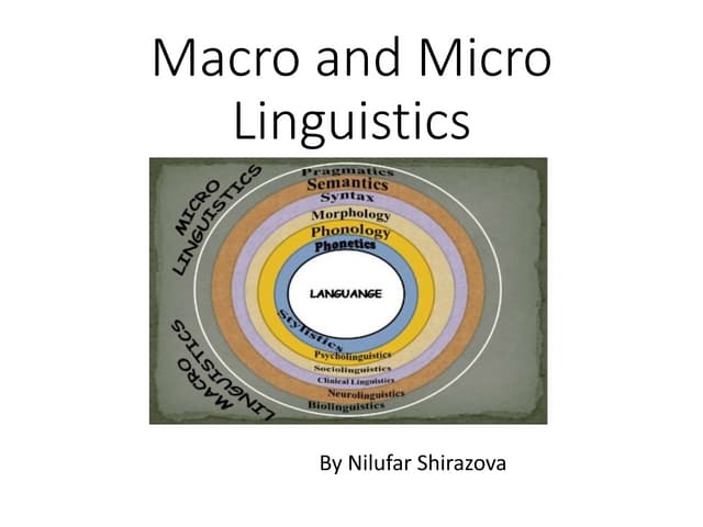 Microlinguistics & Macrolinguistics .pptx