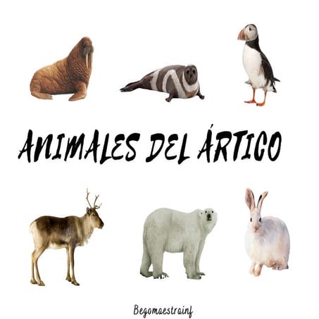ÁNIMALES DEL ÁRTICO.pdf