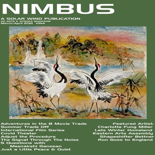 Nimbus #4 | PDF