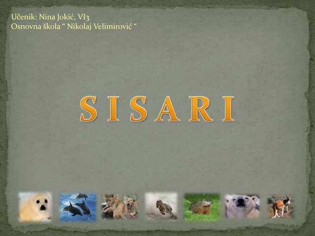 Građa ćelije - 7. razred, Dunja Ercegovčević | PPTX