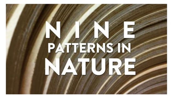 Mathematical patterns in nature | PDF | Geography | Science