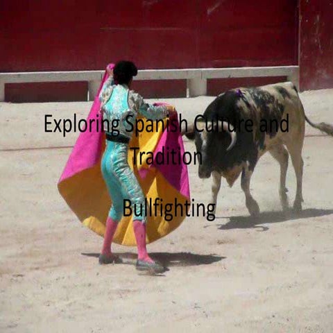 Bullfightingpresentationss | ODP