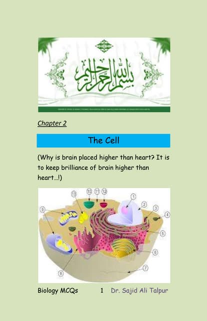 Mcq's of class 9 chapter Tissues | DOCX
