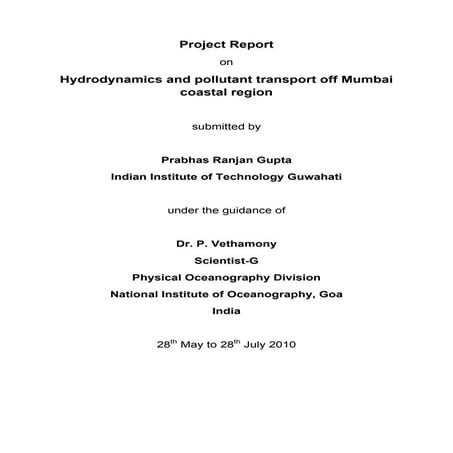 NIO final report | PDF