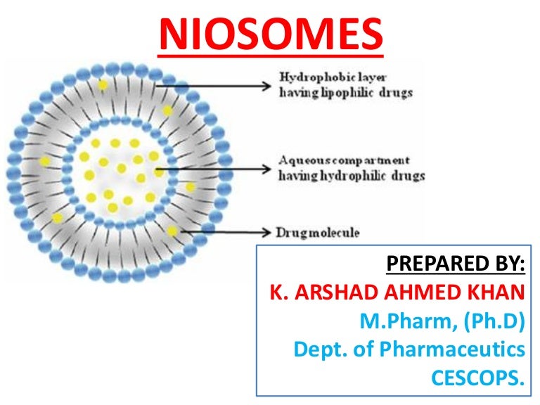 Niosomes