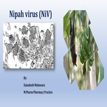 Nipah virus ppt | PPTX