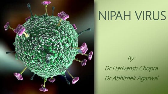 Nipah virus ppt | PPTX | Infectious Diseases | Diseases and Conditions