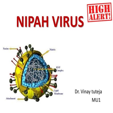 Nipah virus | PPTX