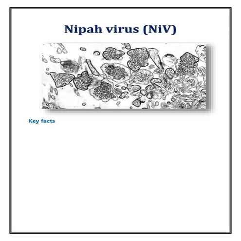 Nipah virus.docx