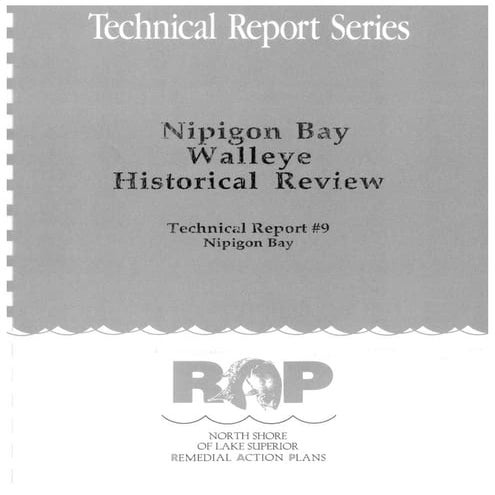 Nipigon Bay Walleye Historical Review | PDF
