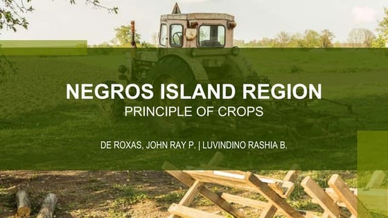 Land Resources (Philippines) | PPTX