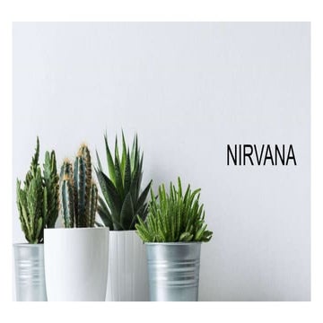 NIRVANA a health supplement brand for everyone | PPTX