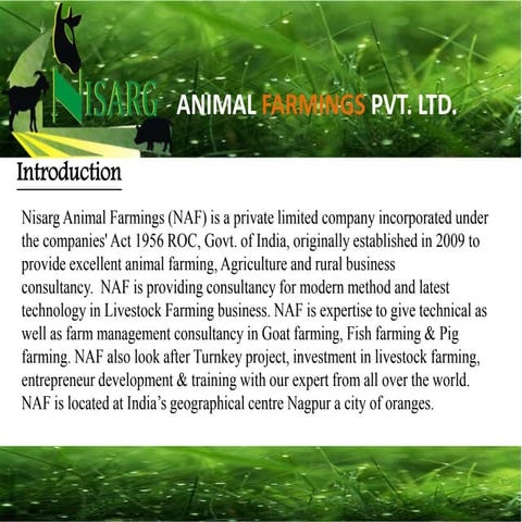 PIG FARMING CONSULTANCY IN INDIA | PPT