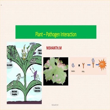 Nishanth.M I,d no. 6021 plant pathogen interaction.pptx