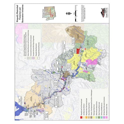 Nisqually Watershed Protection and Restoration Initatives | PDF