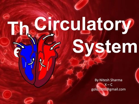 Circulatory System Ppt An Overview Of The Cardiovascular And Blood