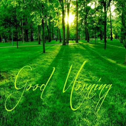 nitheesha maxillary sinus oresented.pptx