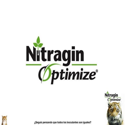 Presentación Nitragin | PPT