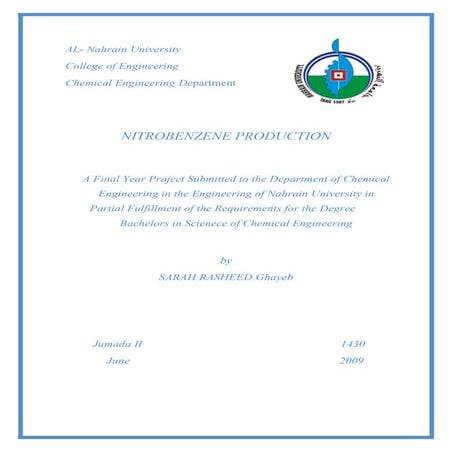 undergraduate report for Nitrobenze producion.pdf