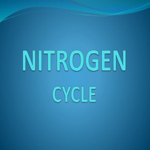 Nitrogen Cycle | PPT
