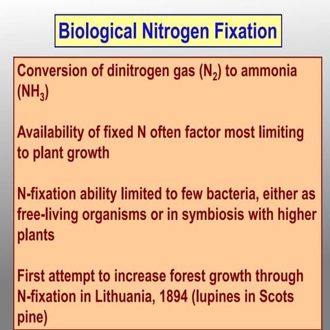nitrogen.ppt