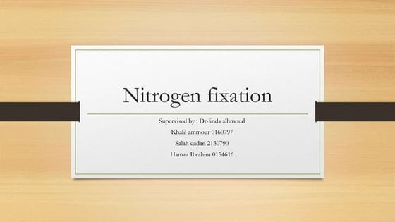 Nitrogen fixation | PPTX | Gardening | Home & Garden