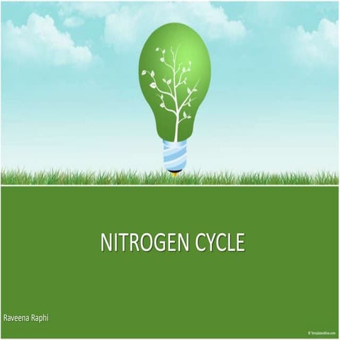 Nitrogen and nitrogen cycle | PPTX