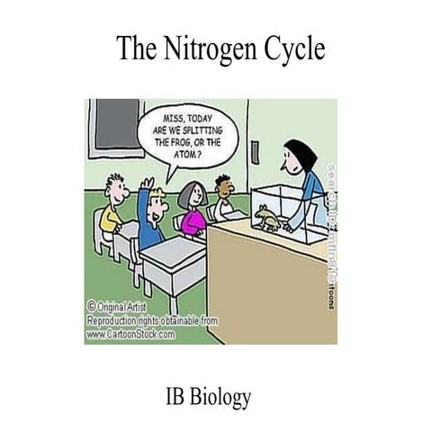 Nitrogen cycle | PPTX