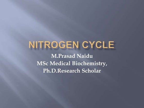 Nitrogen cycle (ppt presentation) | PPT