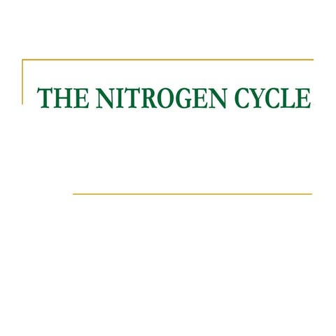 Nitrogen cycle | PPTX
