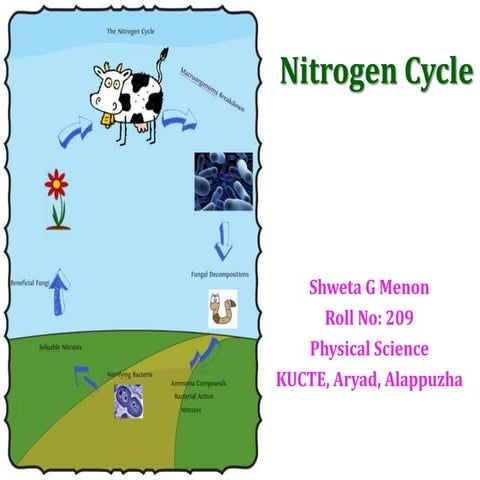 Nitrogen Cycle Powerpoint For Kids – TALDPE
