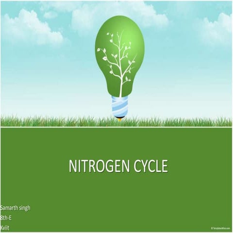 Nitrogen cycle | PPTX