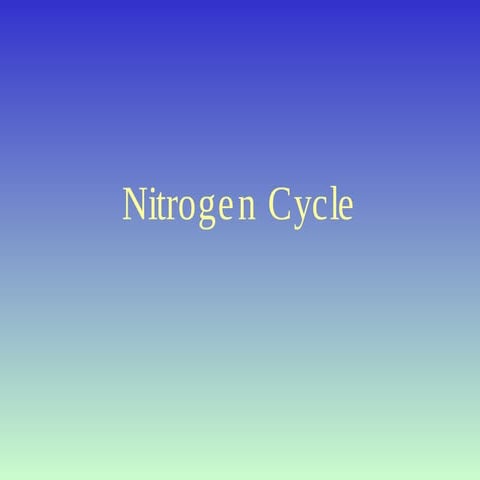 Nitrogen cycle | PPT