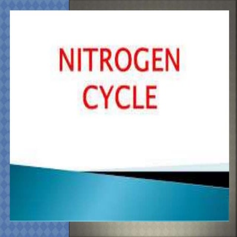Nitrogen cycle | PPTX