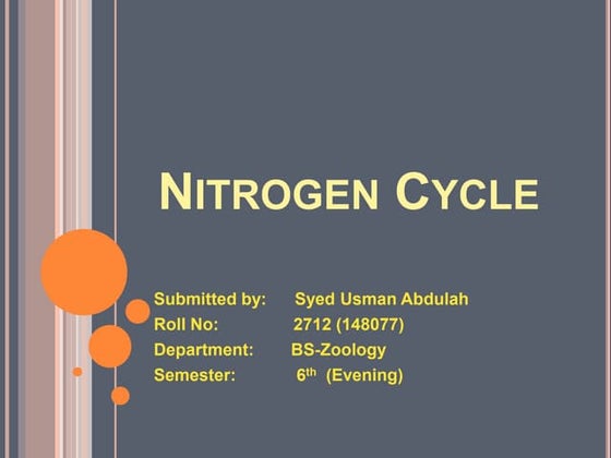 Nitrogen Cycle | PPTX