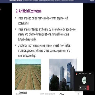 Risk assessment presentation 1 | PPT