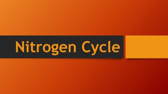 Nitrogen Cycle | PPTX