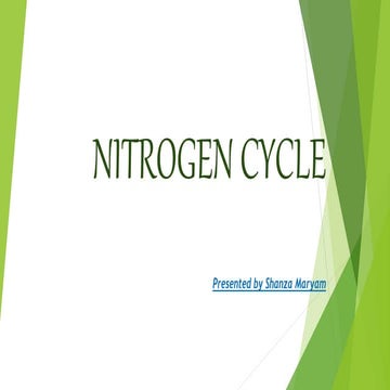 Nitrogen Cycle_ SlideShare | PPTX