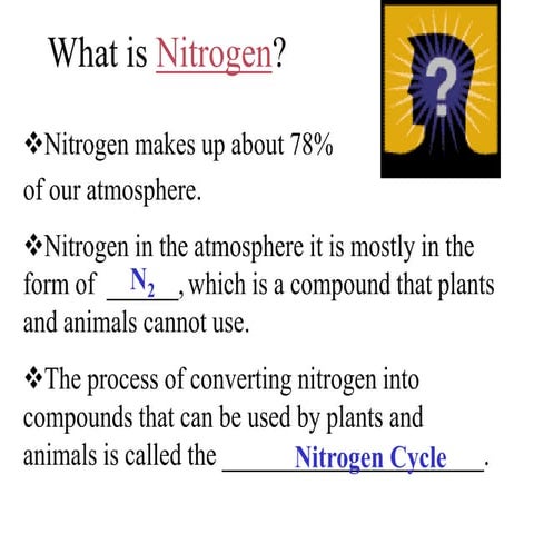 Nitrogen cycle | PPT