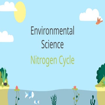 Nitrogen Cycle, definition, stages and importance | PPTX
