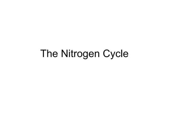 Nitrogen Cycle Powerpoint | ODP
