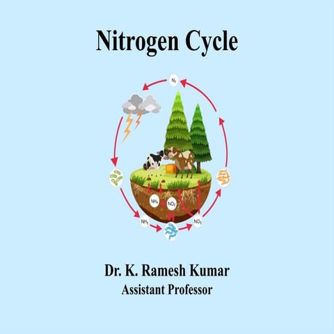 Nitrogen Cycle-Forms, chemical reactions, & Steps.pptx