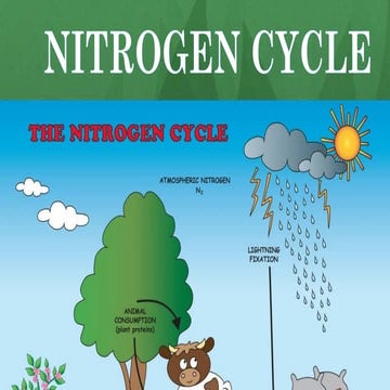 Nitrogen Cycle PowerPoint for Science Visual | PPTX