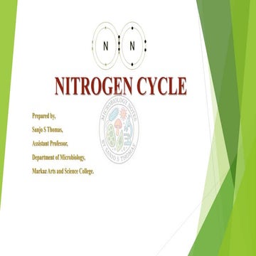 MICROORGANISMS AND NITROGEN CYCLE | PPT