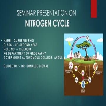 THE NITROGEN cycle biology for Sec 10 grade | PDF