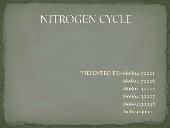 Nitrogen Cycle | PPTX