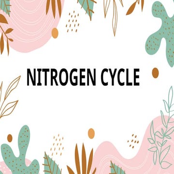 Nitrogen Cycle ppt on nitrogen cycle good | PPTX